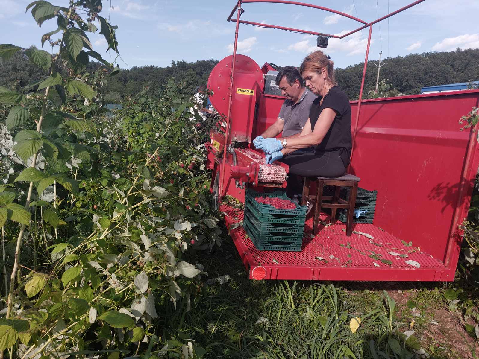 MEHANIČKI BERAČ SPAS ZA MALINU U PODGORINI – LAGrande – internet novine